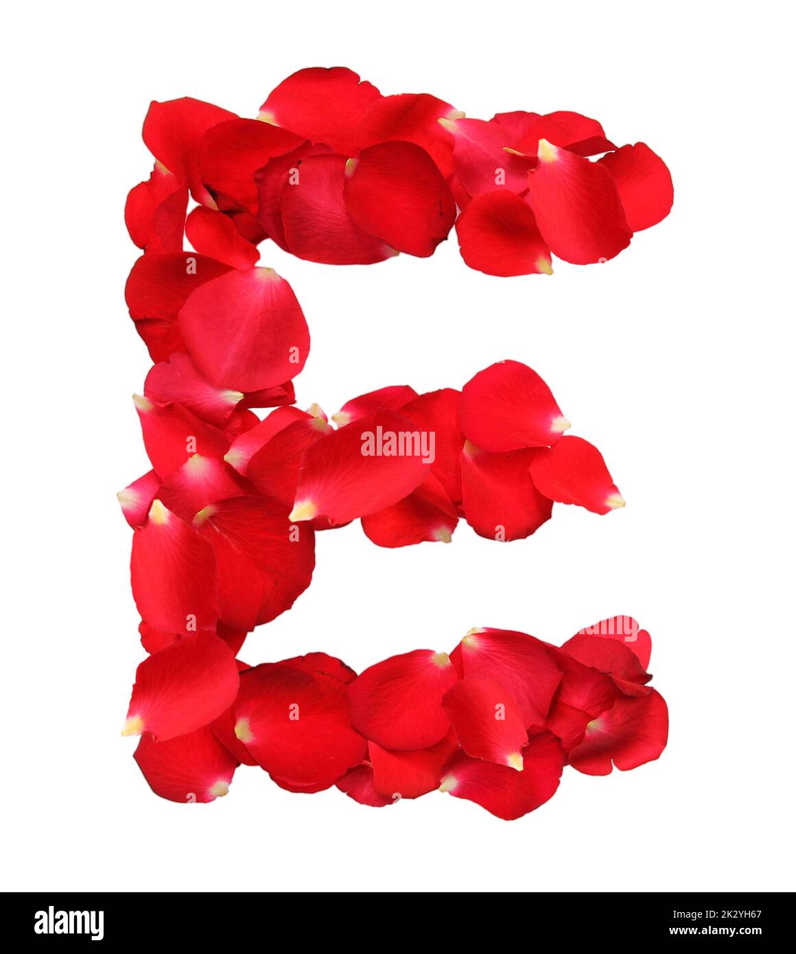 Alphabet E formed by red rose petals on white background Stock Photo ...