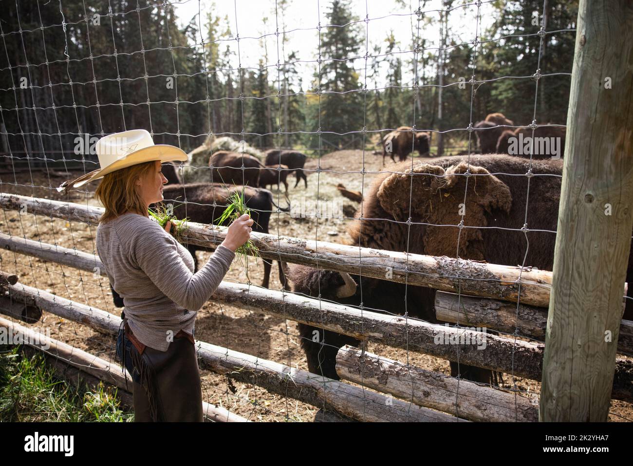 Adult mature women hi-res stock photography and images - Alamy