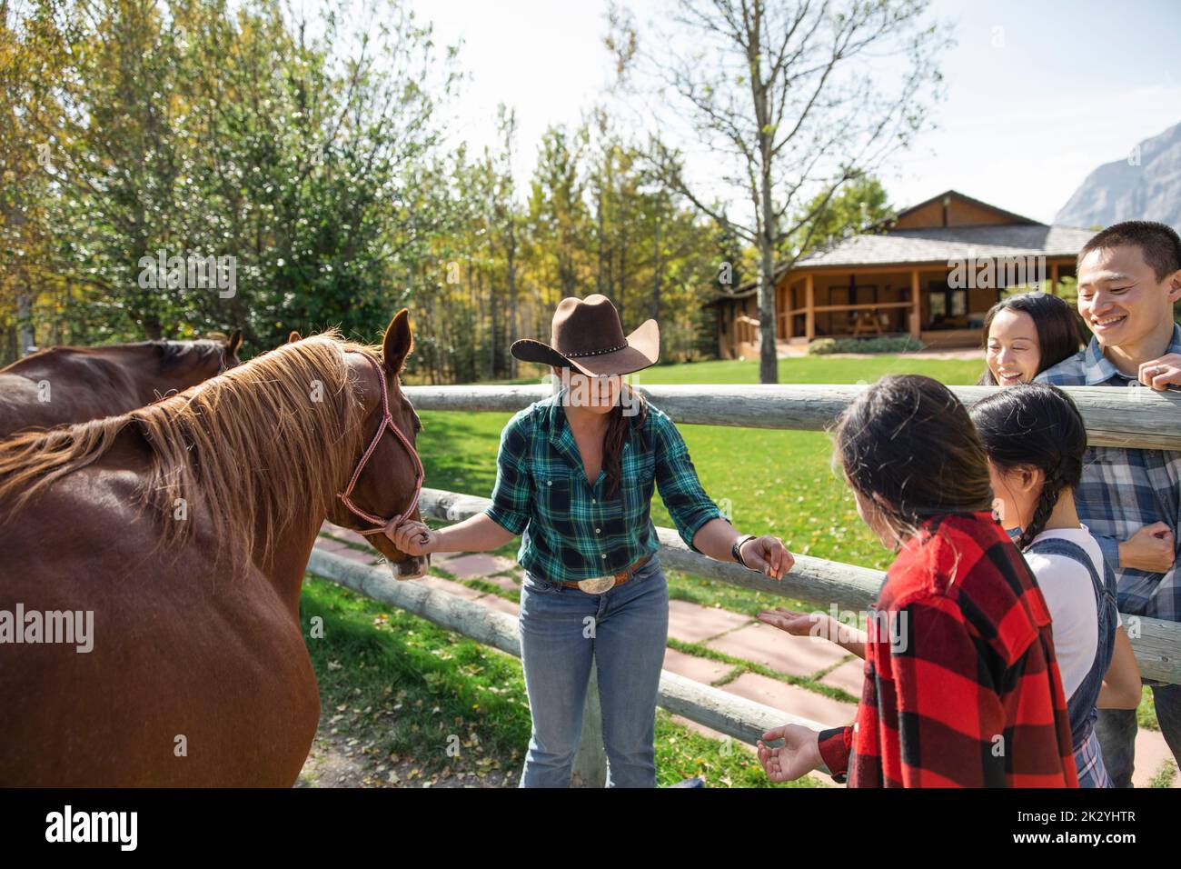 Watching the feed hi-res stock photography and images - Alamy