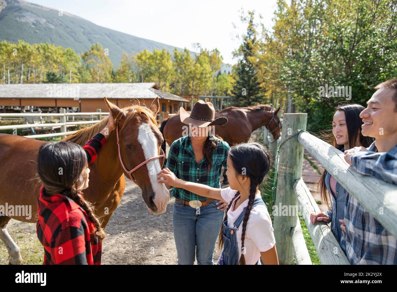 Five horses in ranch hi-res stock photography and images - Alamy