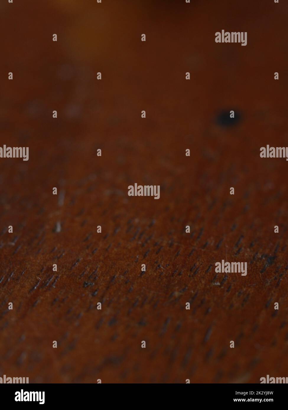 Close-up on cenizaro (Samanea saman) wood Stock Photo - Alamy