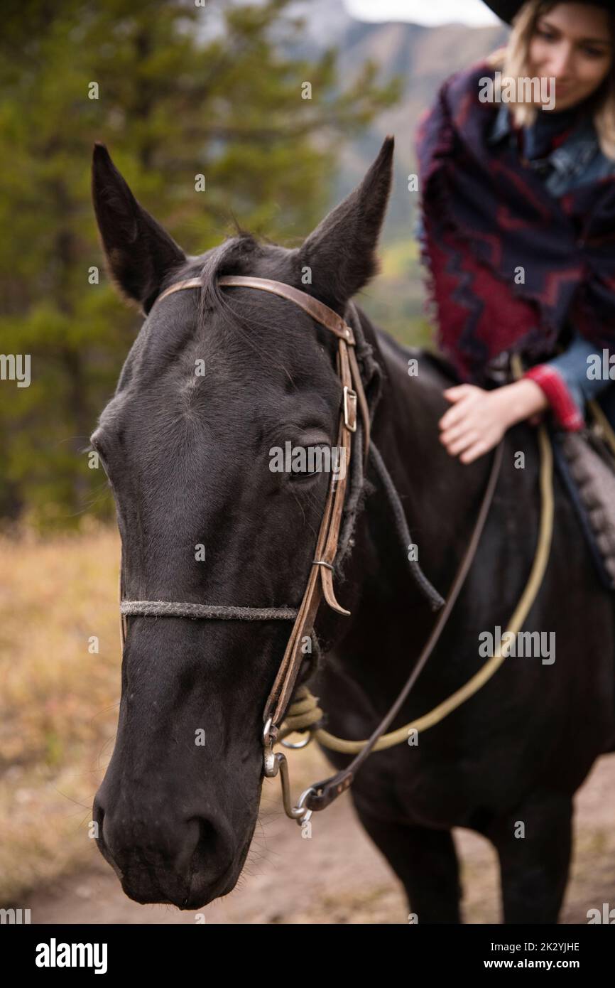 Beautiful woman riding black horse hi-res stock photography and images ...