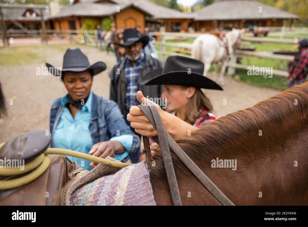 Woman riding horse paddock hi-res stock photography and images - Alamy