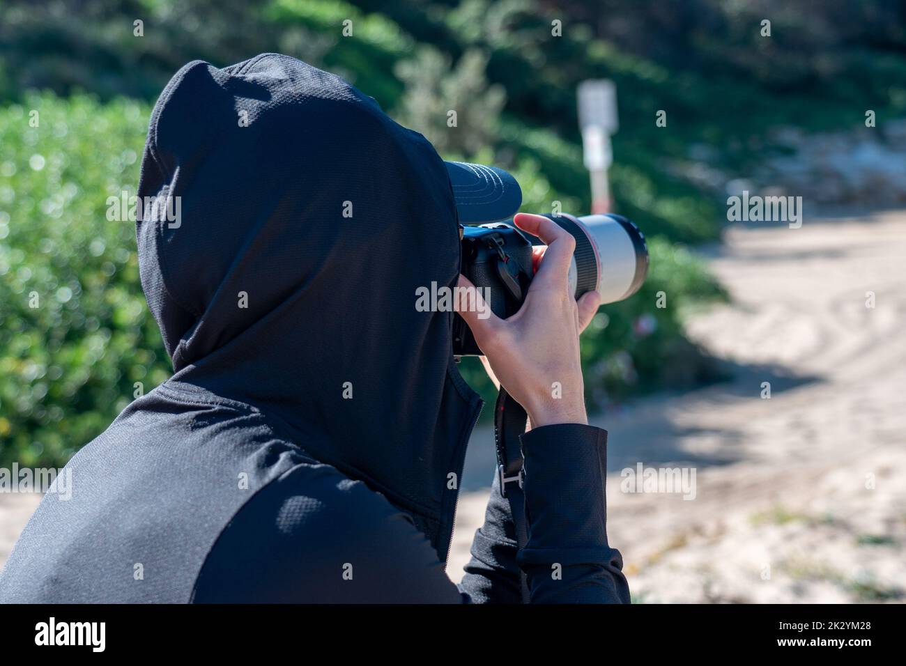 A closeup of a person facing backward photographing with a camera in ...