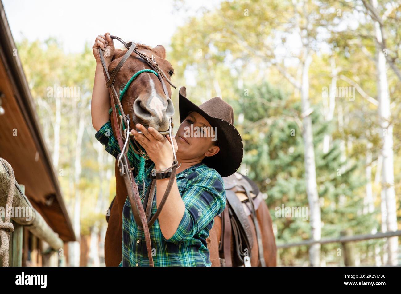 Female rancher harnessing horse on ranch Stock Photo - Alamy