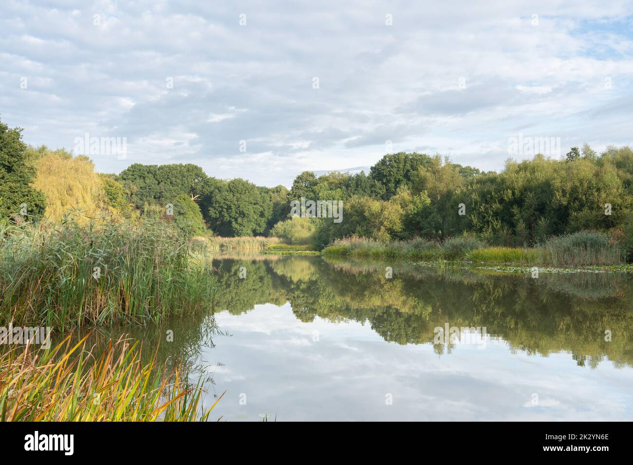 The Ornamental Lake on Southampton Common Stock Photo - Alamy