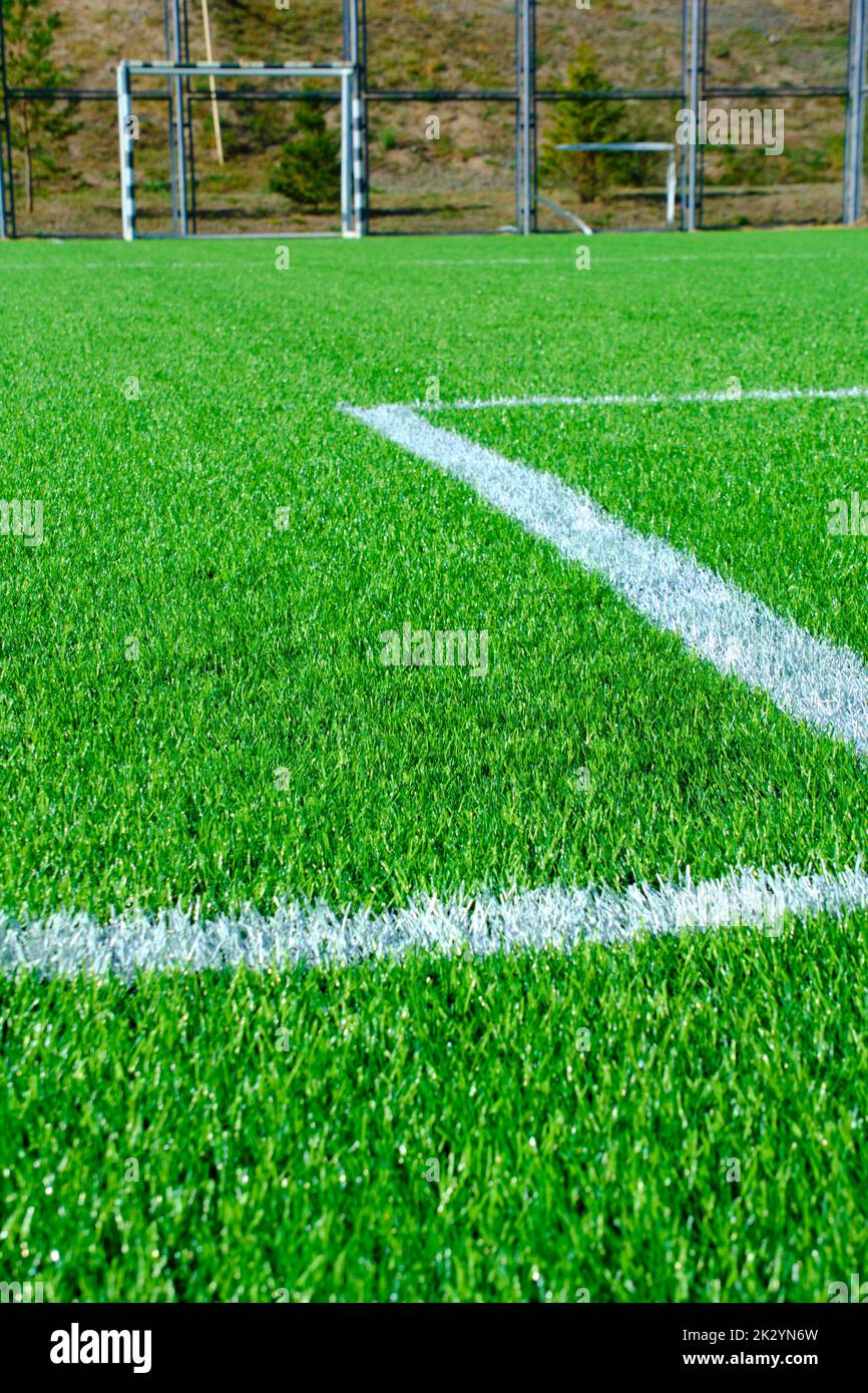 Fresh green lawn with markings on football field Stock Photo - Alamy