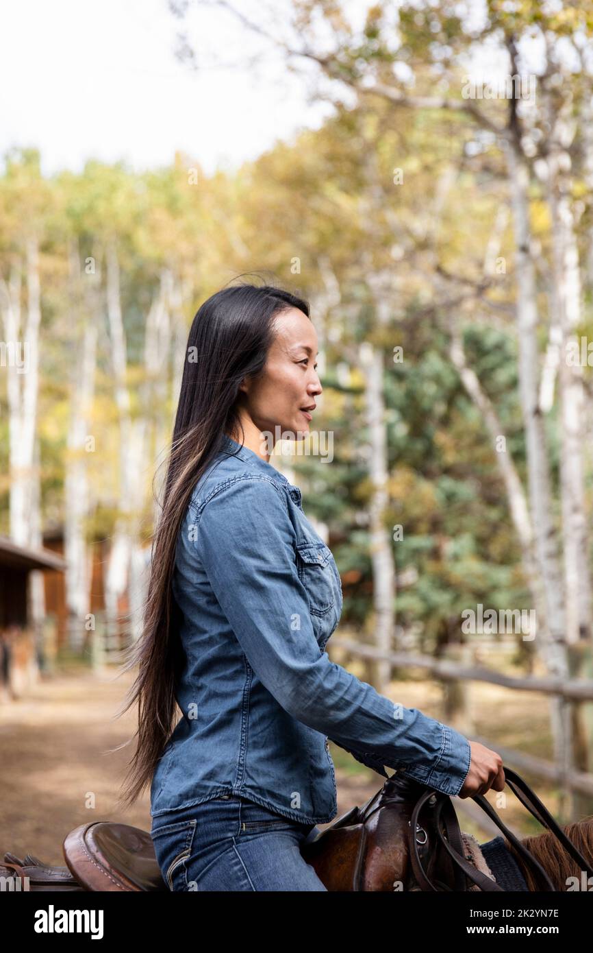 Beautiful woman riding black horse hi-res stock photography and images ...