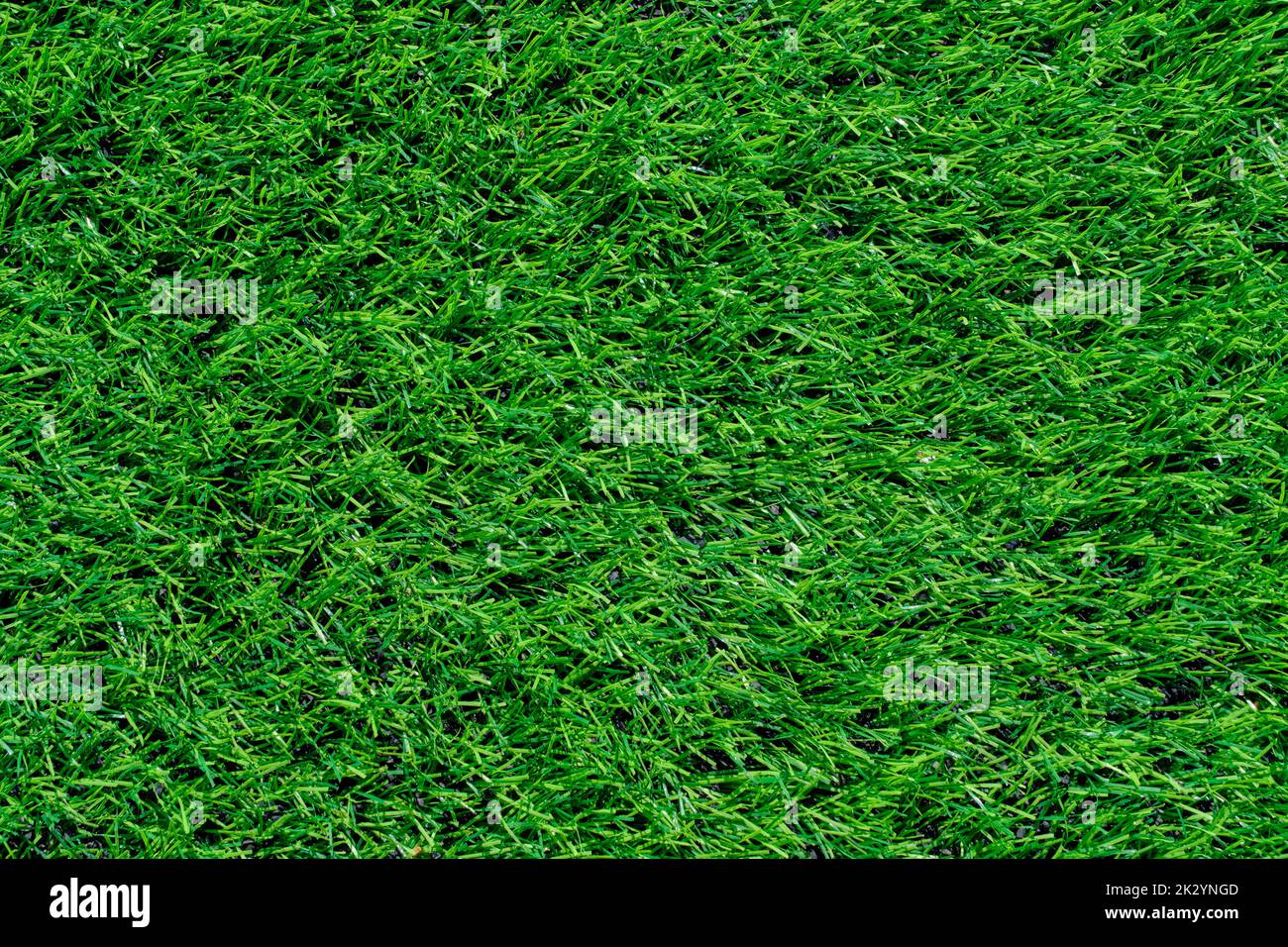 Abstract background, texture green grass and artificial lawn Stock ...