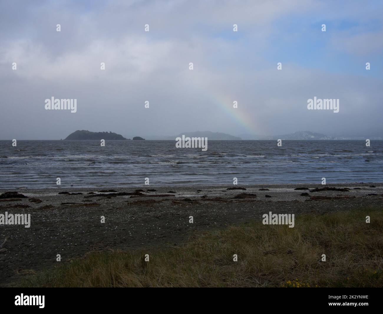 Wellington Harbour From Petone Foreshore Stock Photo - Alamy