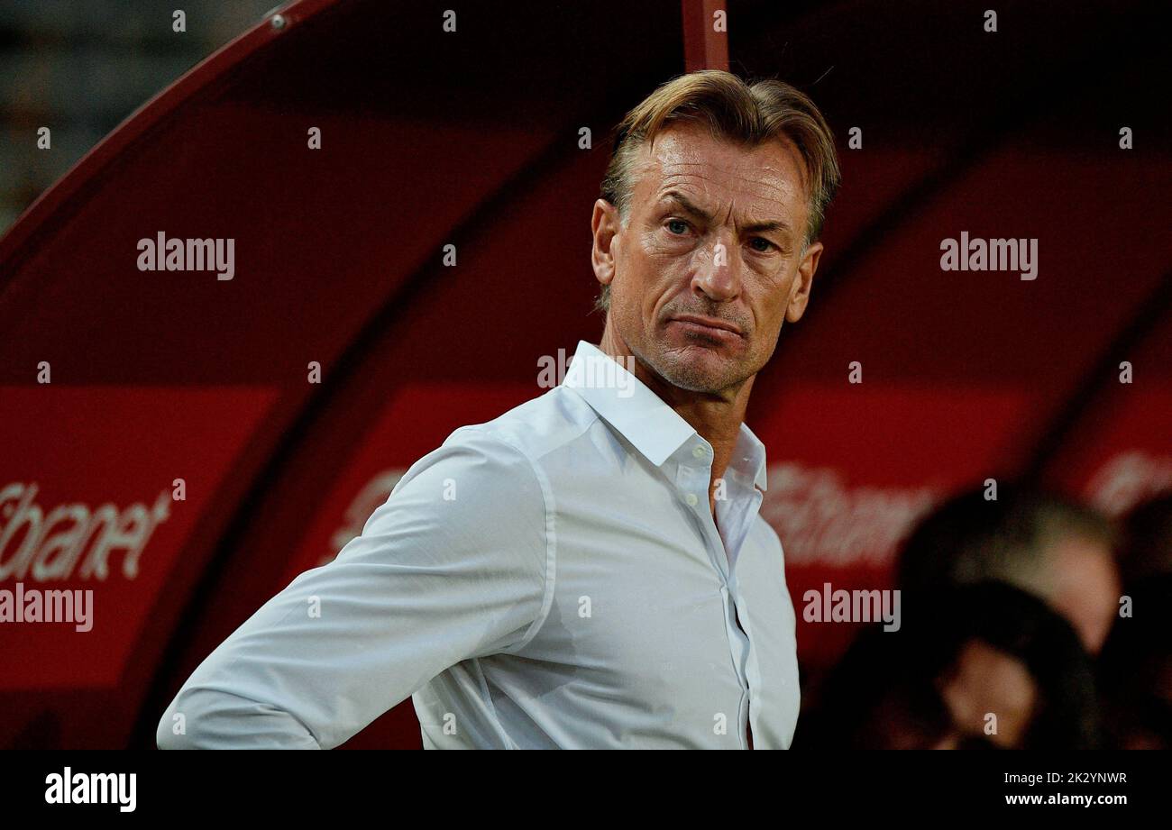 Herve renard saudi hi-res stock photography and images - Alamy