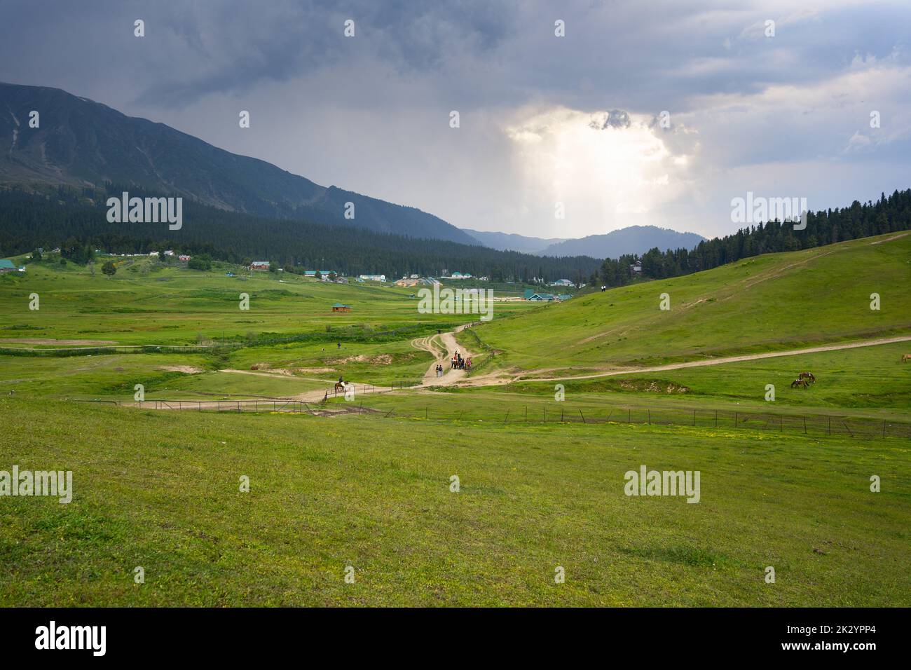 An aerial view of the green rural fields of Gulmarg, Baramulla, Jammu ...