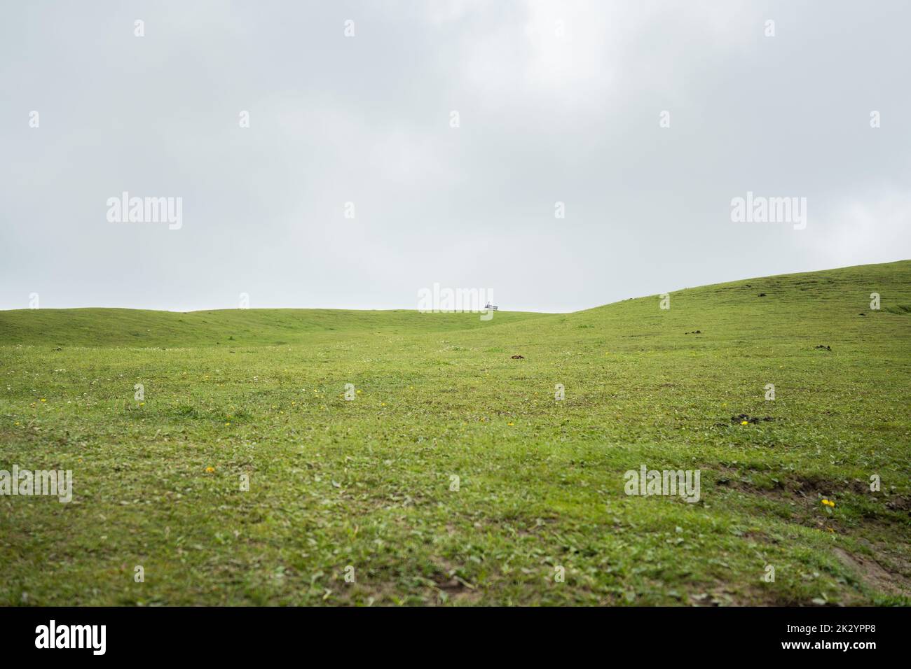 An aerial view of the green rural fields of Gulmarg, Baramulla, Jammu ...