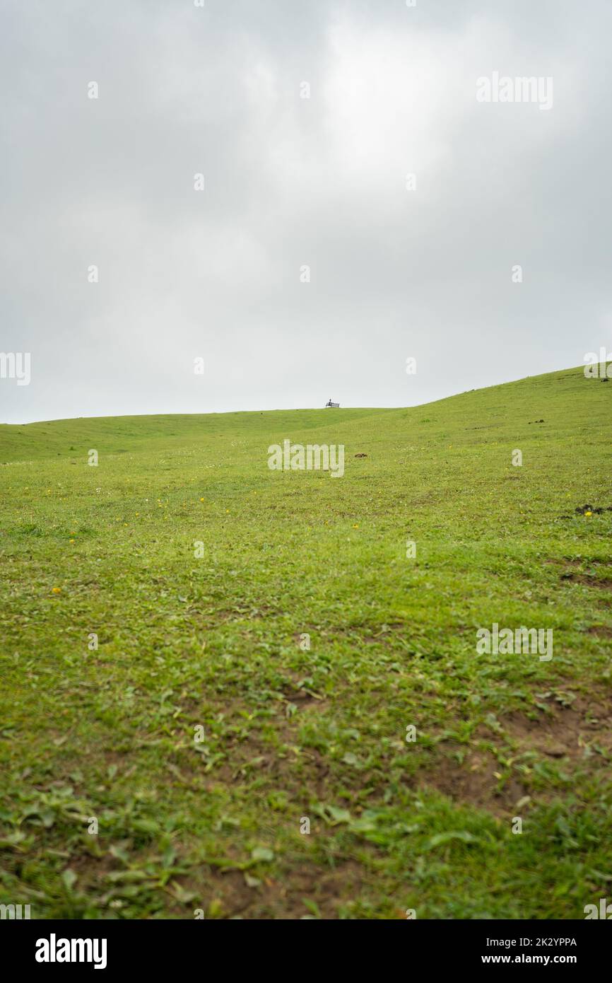 A vertical shot of the green rural fields of Gulmarg, Baramulla, Jammu ...