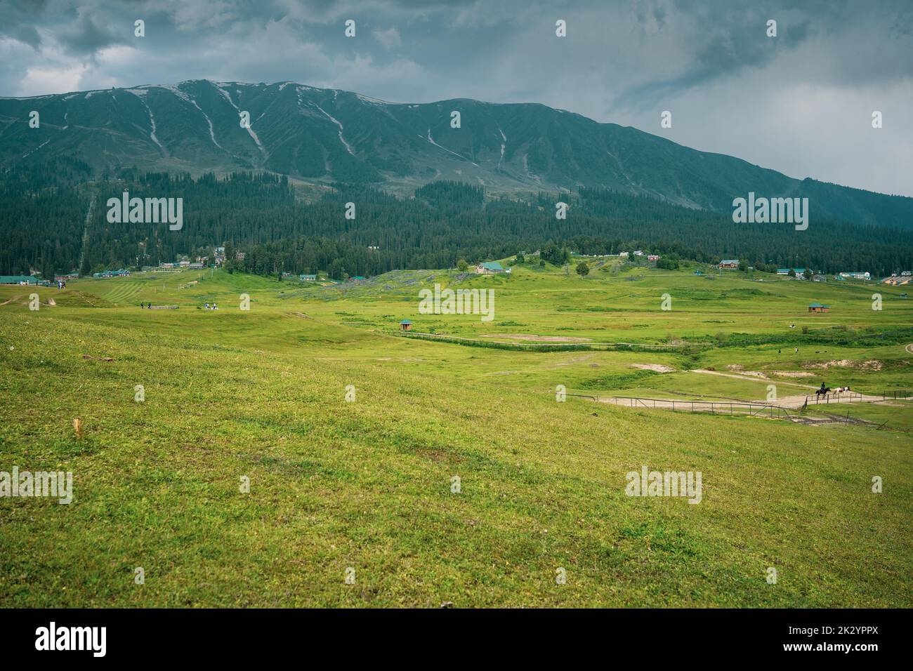An aerial view of the green rural fields of Gulmarg, Baramulla, Jammu ...