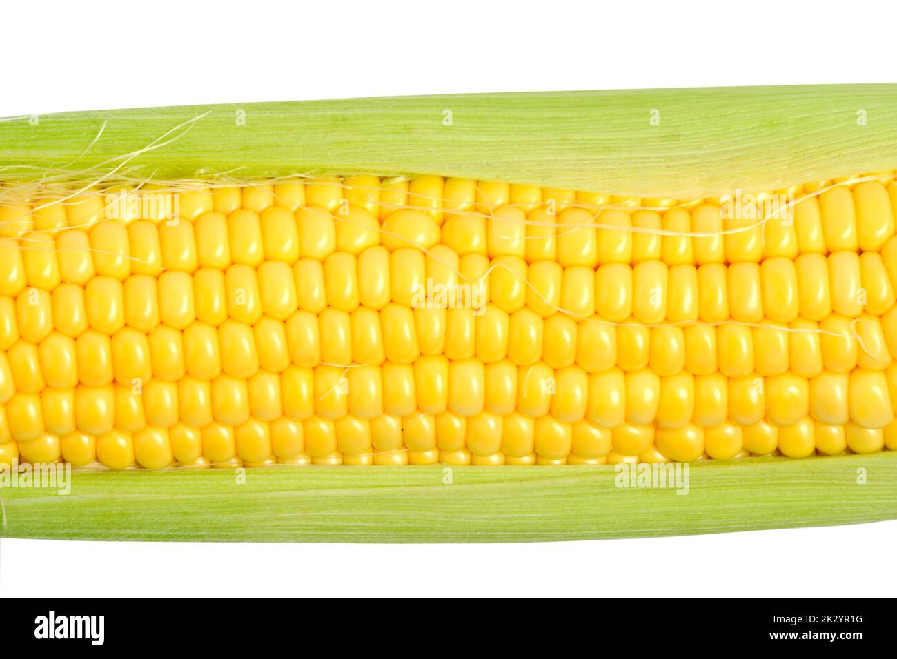 One ears ripe corn white background Stock Photo - Alamy