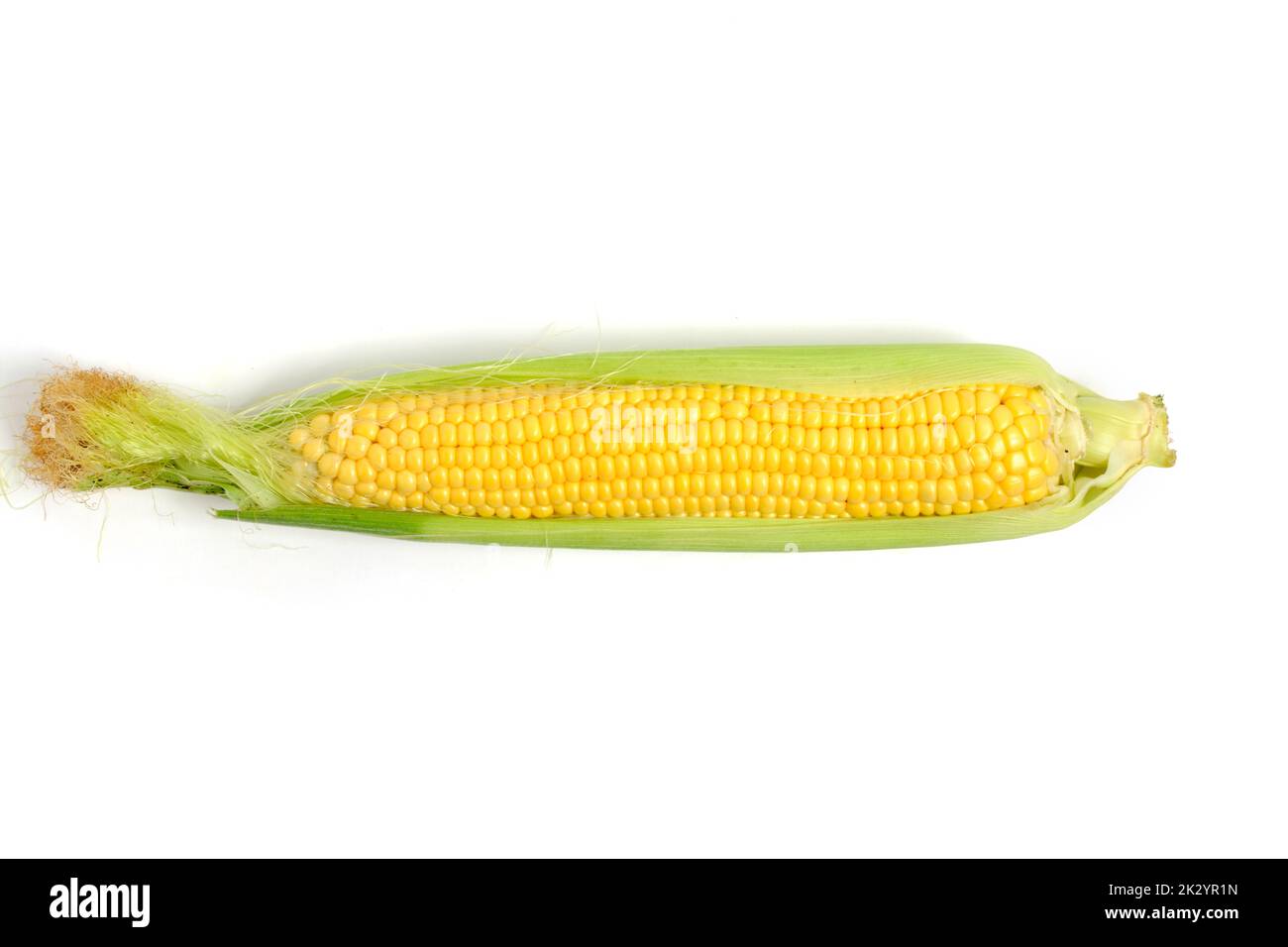 One ears ripe corn white background Stock Photo - Alamy