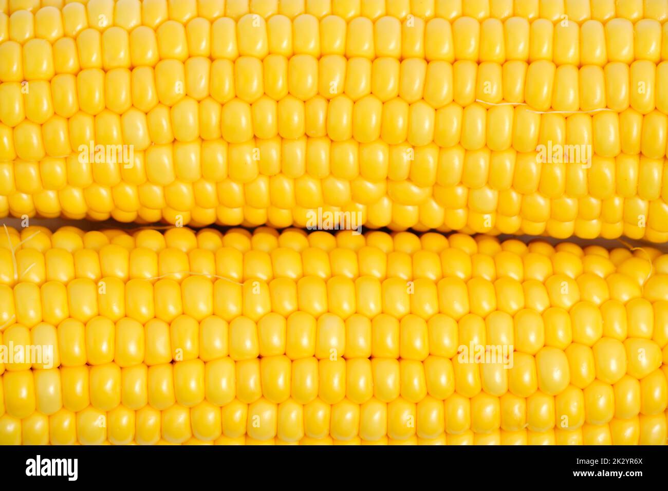 Background, two ears corn closeup Stock Photo - Alamy