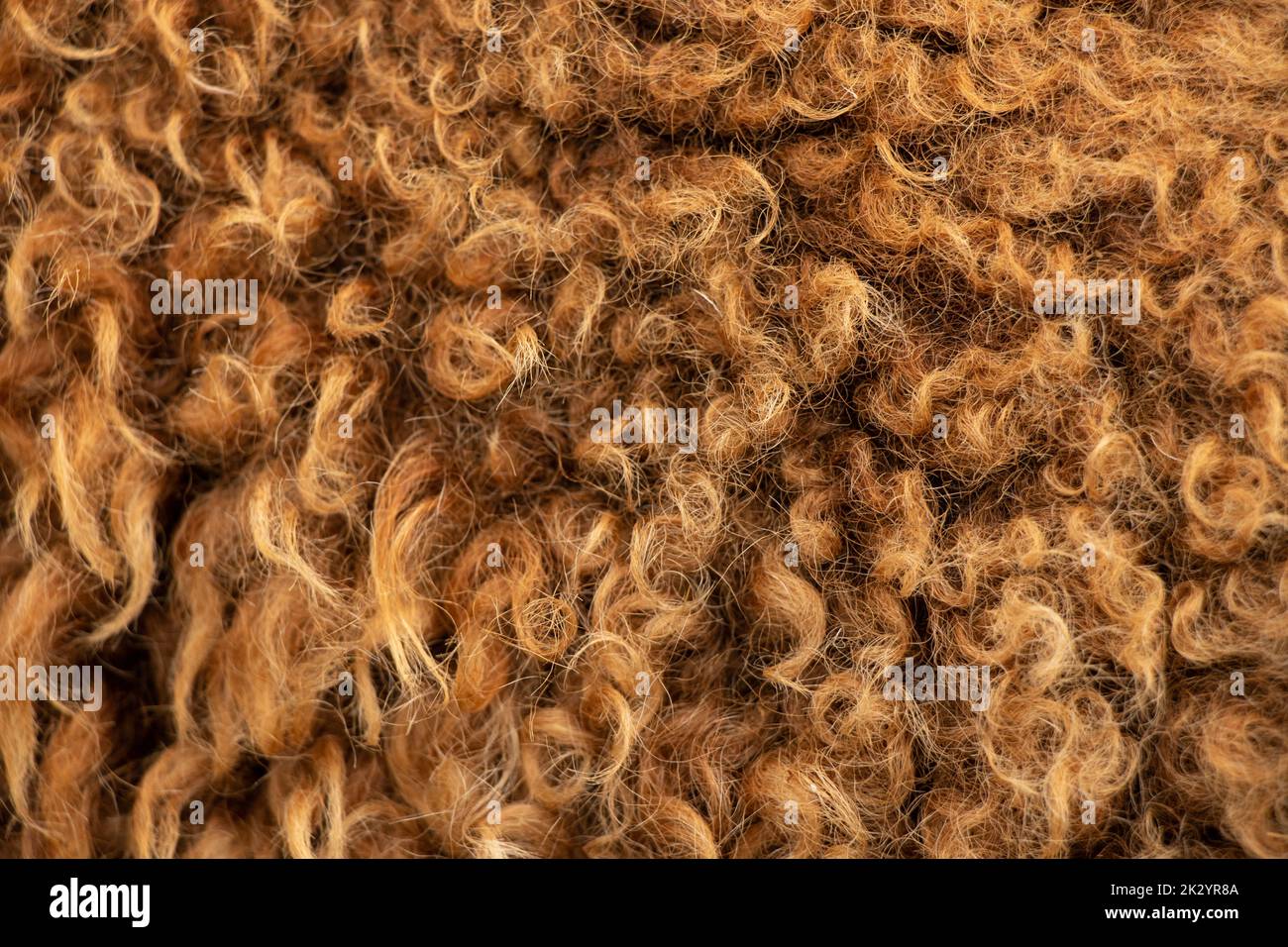 Curly sheep wool hi-res stock photography and images - Alamy