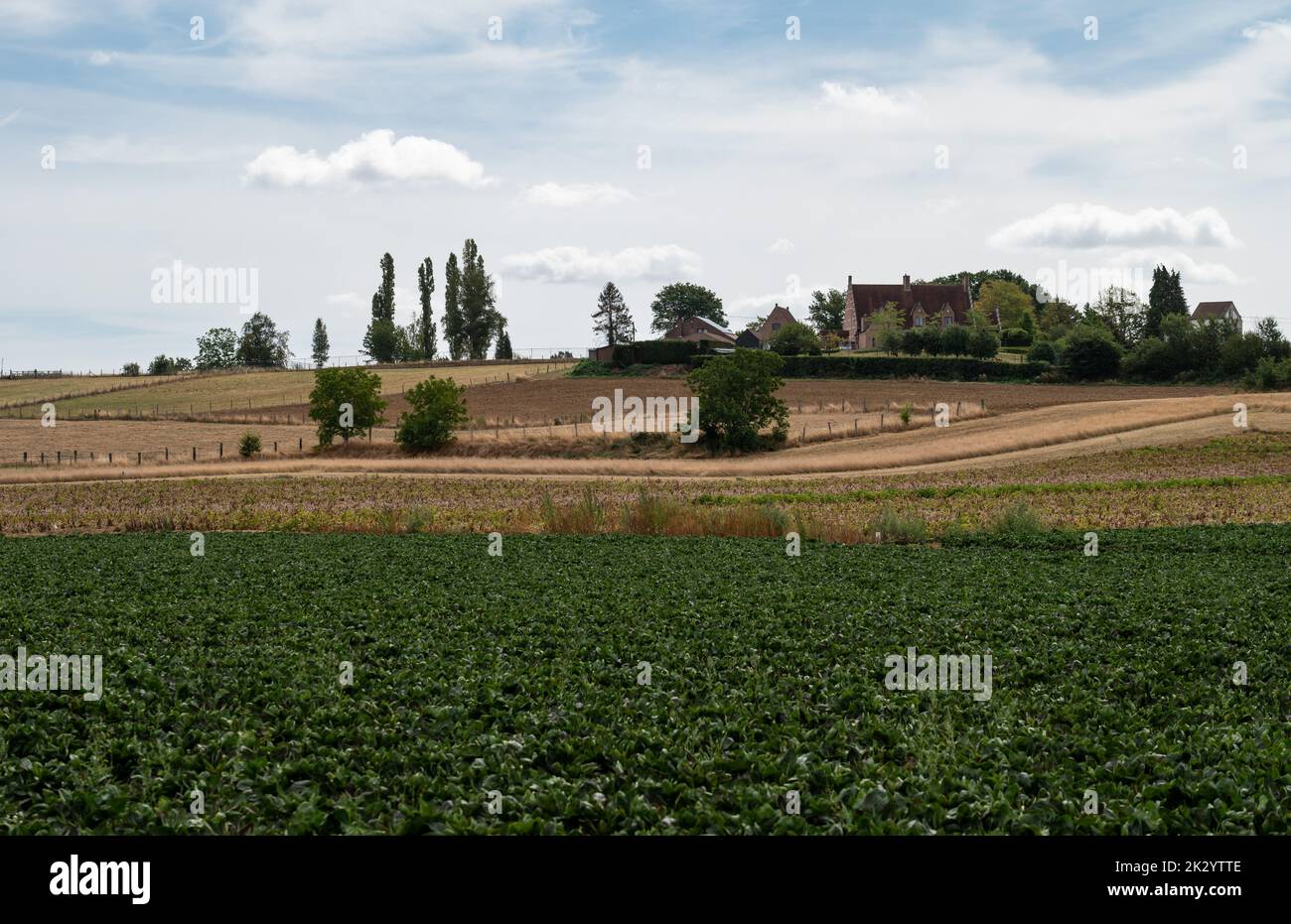 Rural scene over the green agriculture fields around the village ...