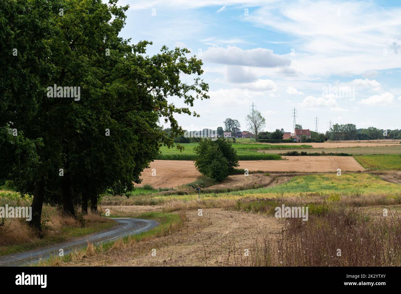Rural scene with agricutlure fields at the Flemish countryside around ...