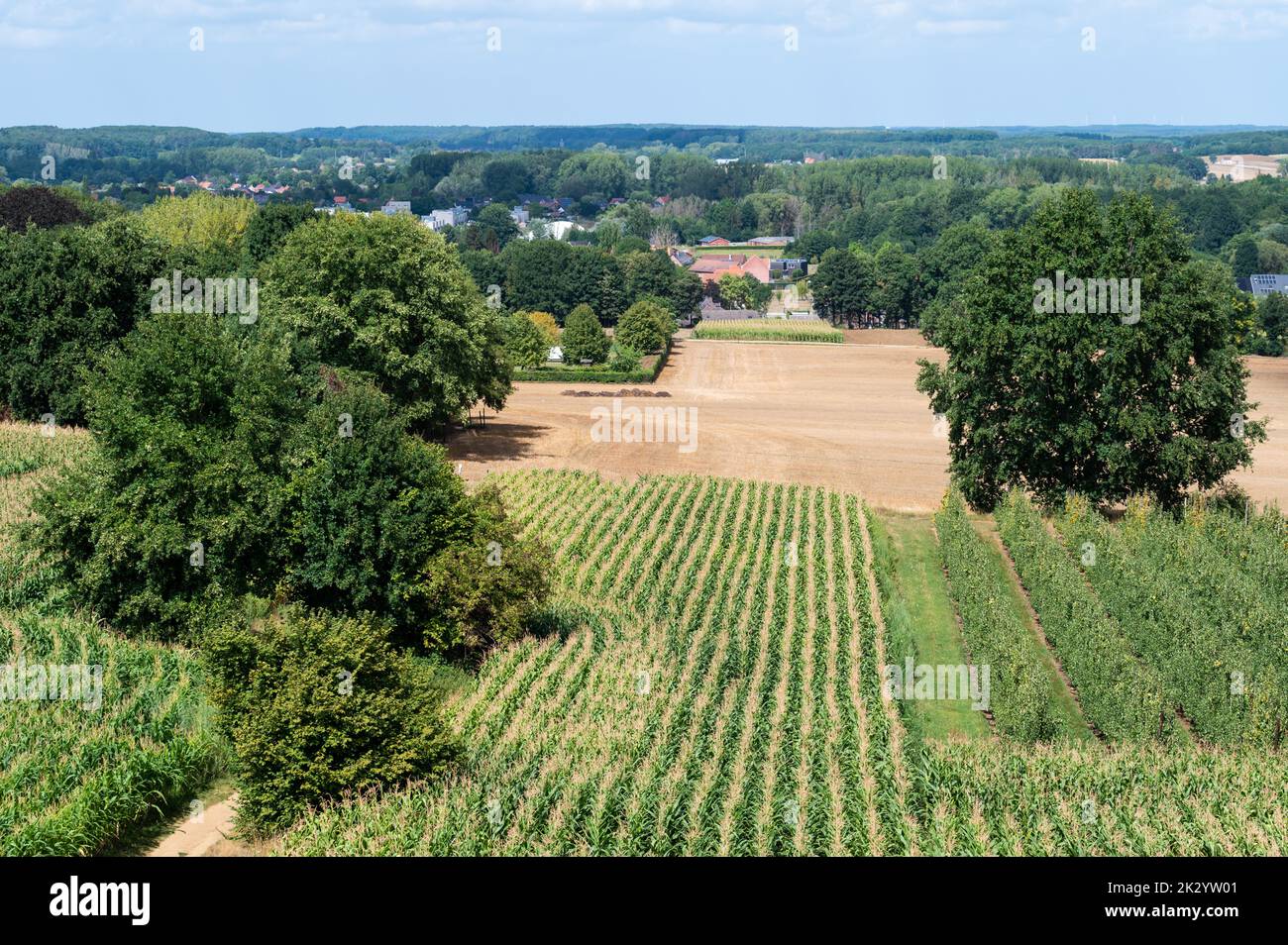 Rural scene with agricutlure fields at the Flemish countryside around ...