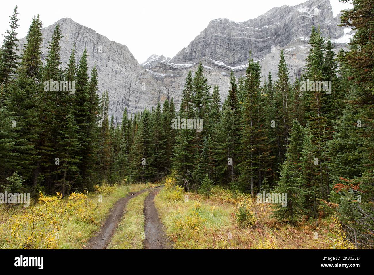 Majestic mountain above autumn trees in remote woods hi-res stock ...