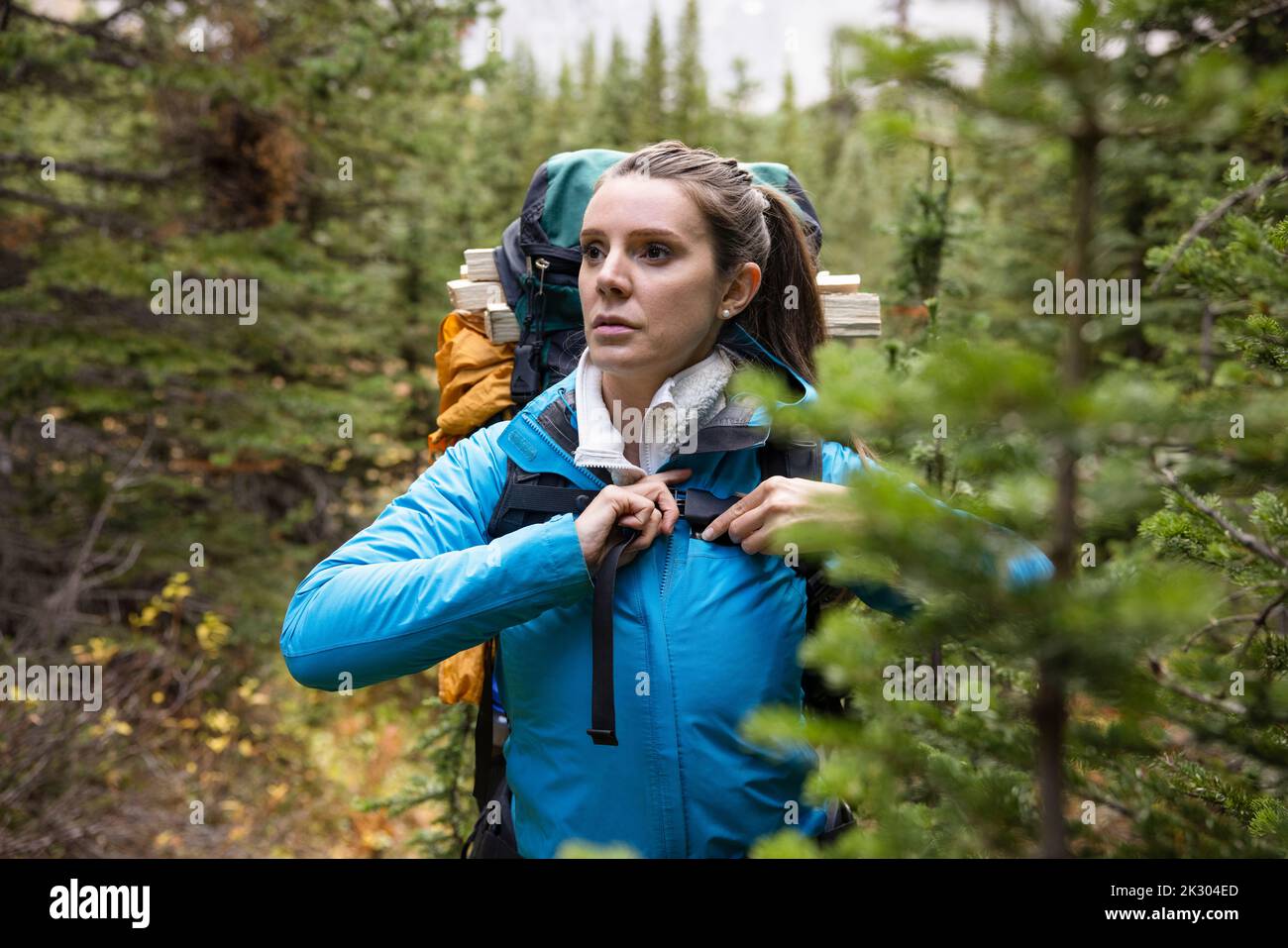 Backpacking solo hi-res stock photography and images - Alamy