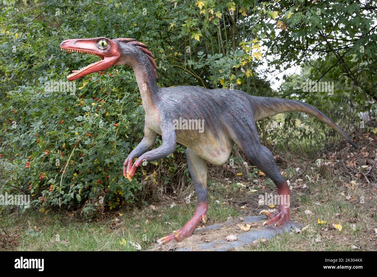 Lifesize model of Trrodon a birdlike theropod dinosaur of the Late ...