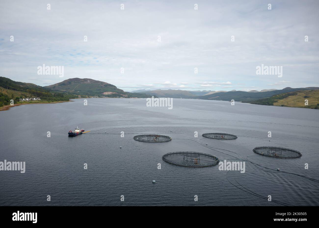Fish farm salmon round nets in natural environment Loch Fyne Arygll and ...