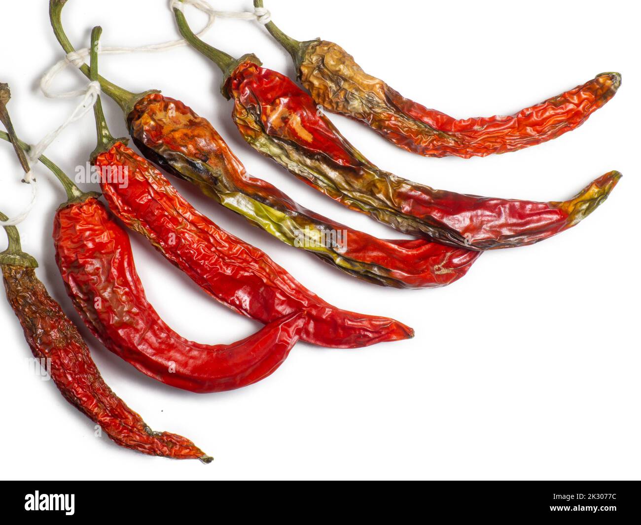 Bunch of dried red peppers on a white background. Spices for dishes ...