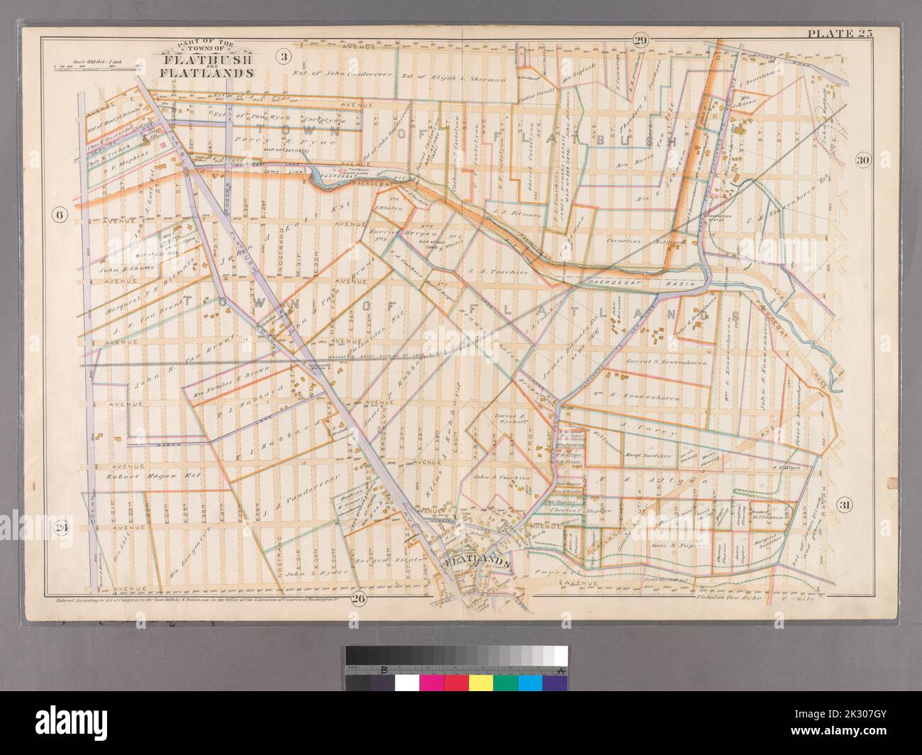 F. Bourquin & Co.. Cartographic, Maps. 1890. Lionel Pincus and Princess ...