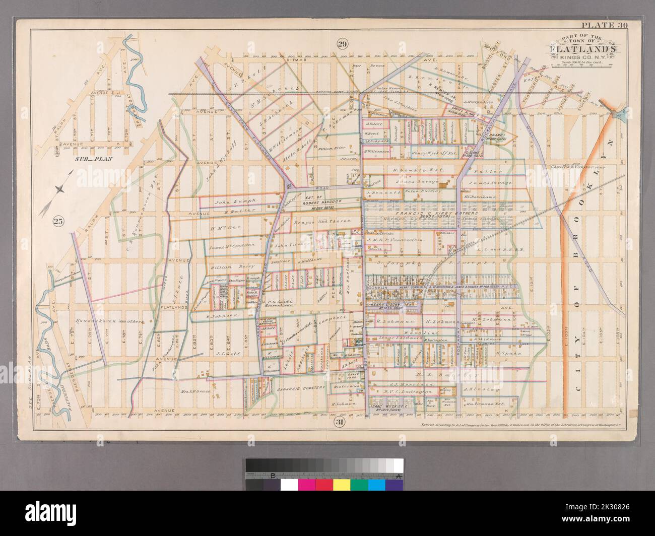 F. Bourquin & Co.. Cartographic, Maps. 1890. Lionel Pincus and Princess ...