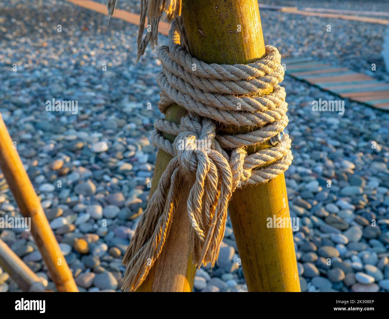 Bamboo sticks are tied with a rope. Close-up of the fence on the shore ...
