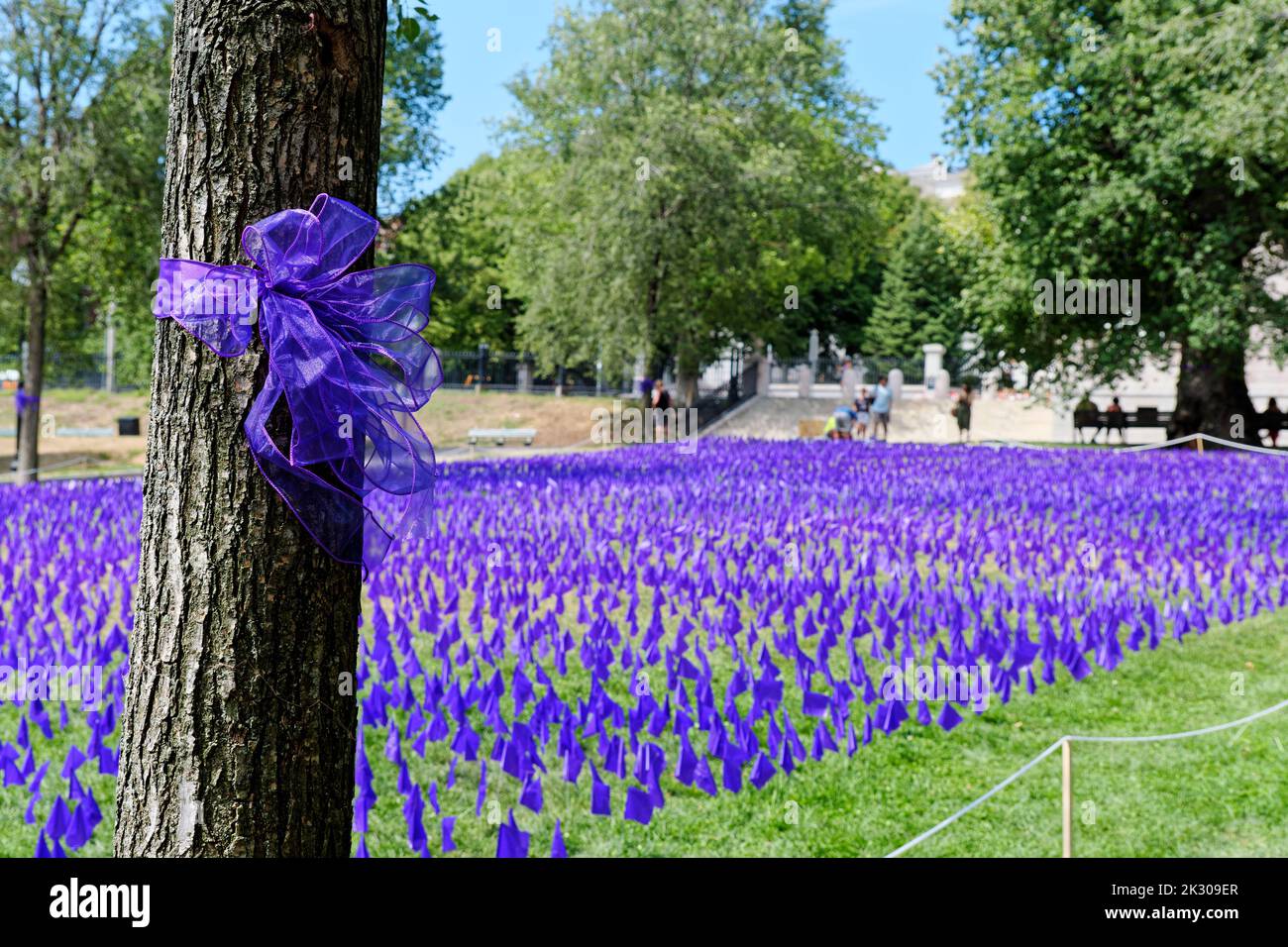 BOSTON, MASSACHUSETTS - August 29, 2022: Thousands of purple flags are ...