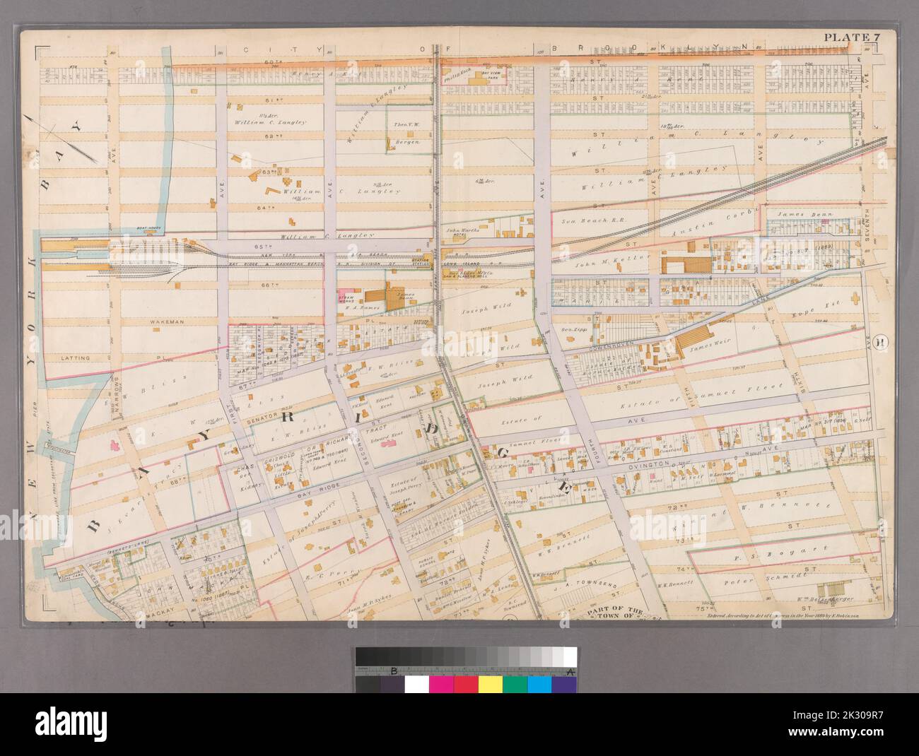 F. Bourquin & Co.. Cartographic, Maps. 1890. Lionel Pincus and Princess ...