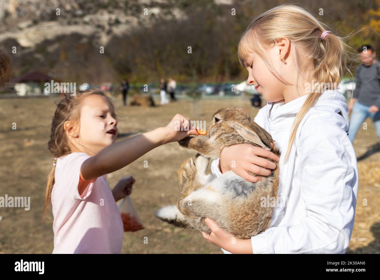 Two cute adorable caucasian blond little girls friends enjoy feeding ...