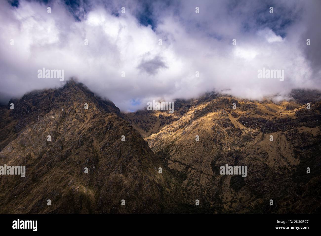 Entry into the cloud forest on Day 2 of the Inca Trail Stock Photo - Alamy