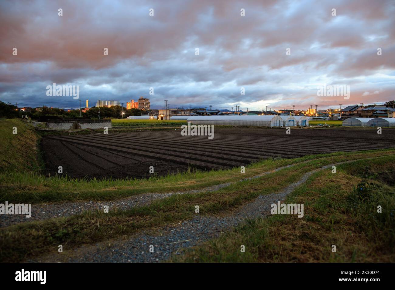 Hint of sunrise in clouds over unplanted field and dirt road on small ...