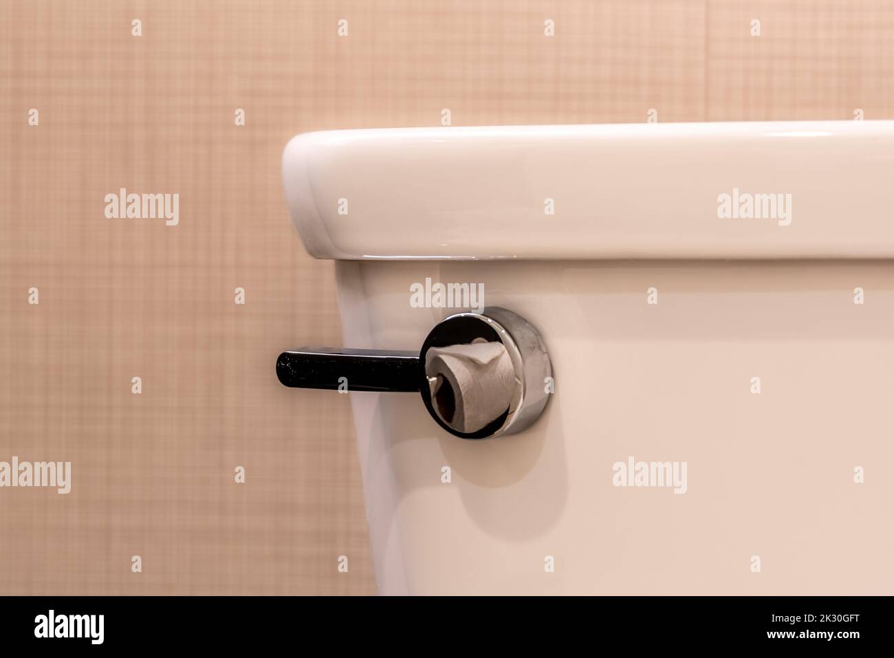 Toilet flush hi-res stock photography and images - Alamy