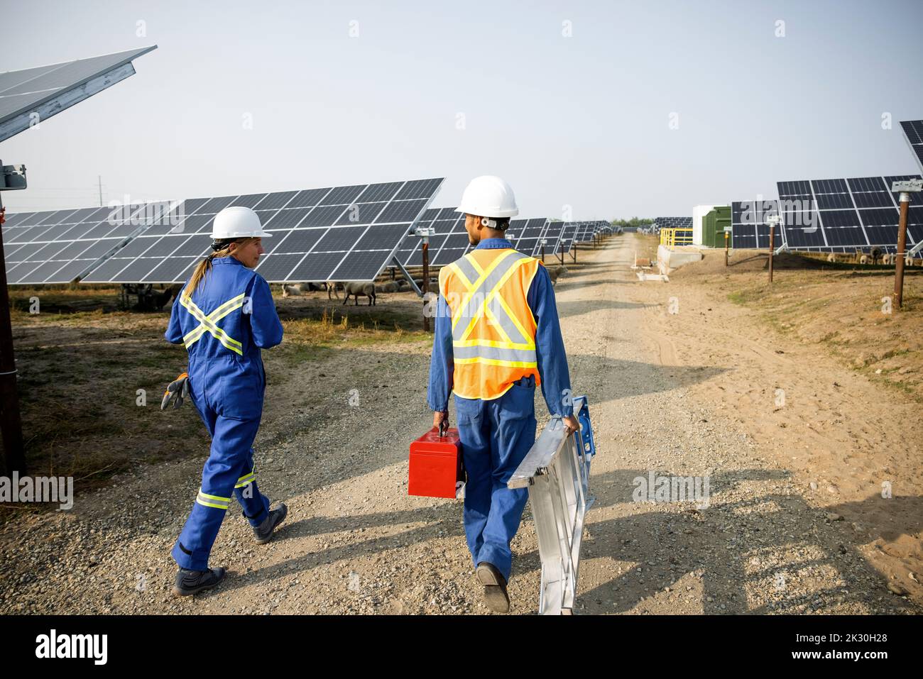 Ladder perspective hi-res stock photography and images - Alamy