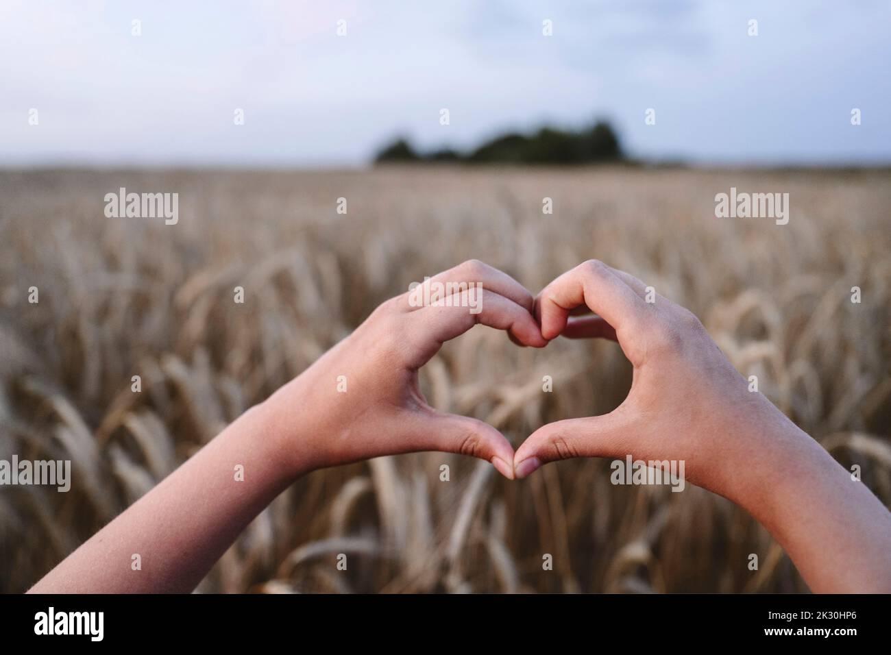 Hands of grandfather and granddaughter making heart shape at farm Stock ...