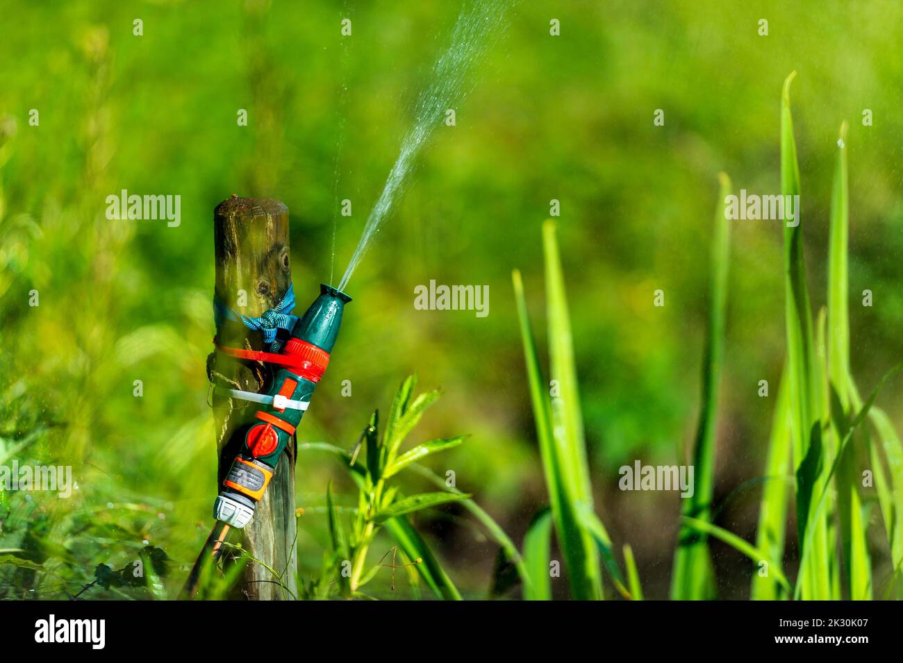 Garden water hose close hi-res stock photography and images - Alamy