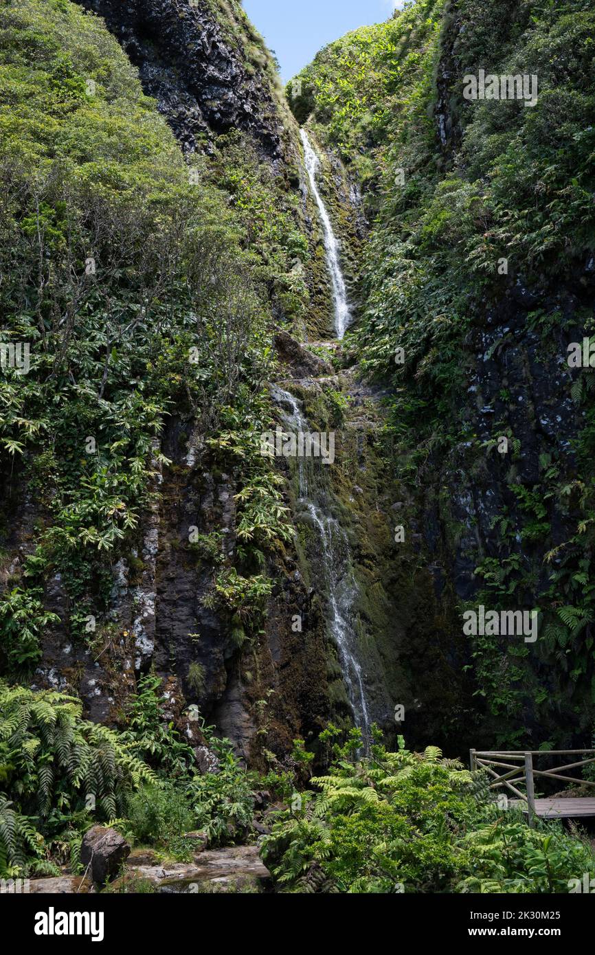 Portugal, Azores, Small waterfall on Flores Island Stock Photo - Alamy