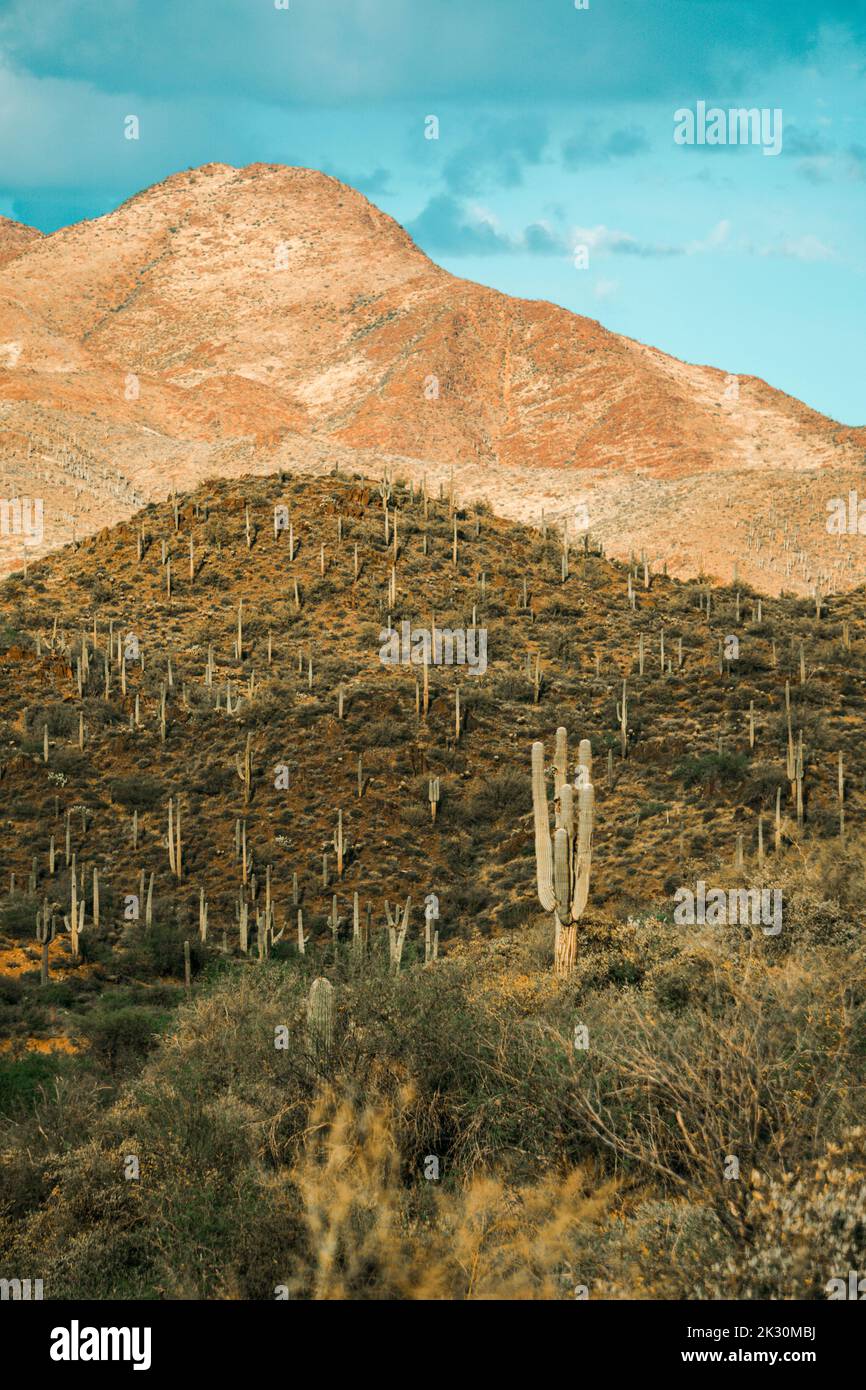Explore arizona canyons hi-res stock photography and images - Alamy