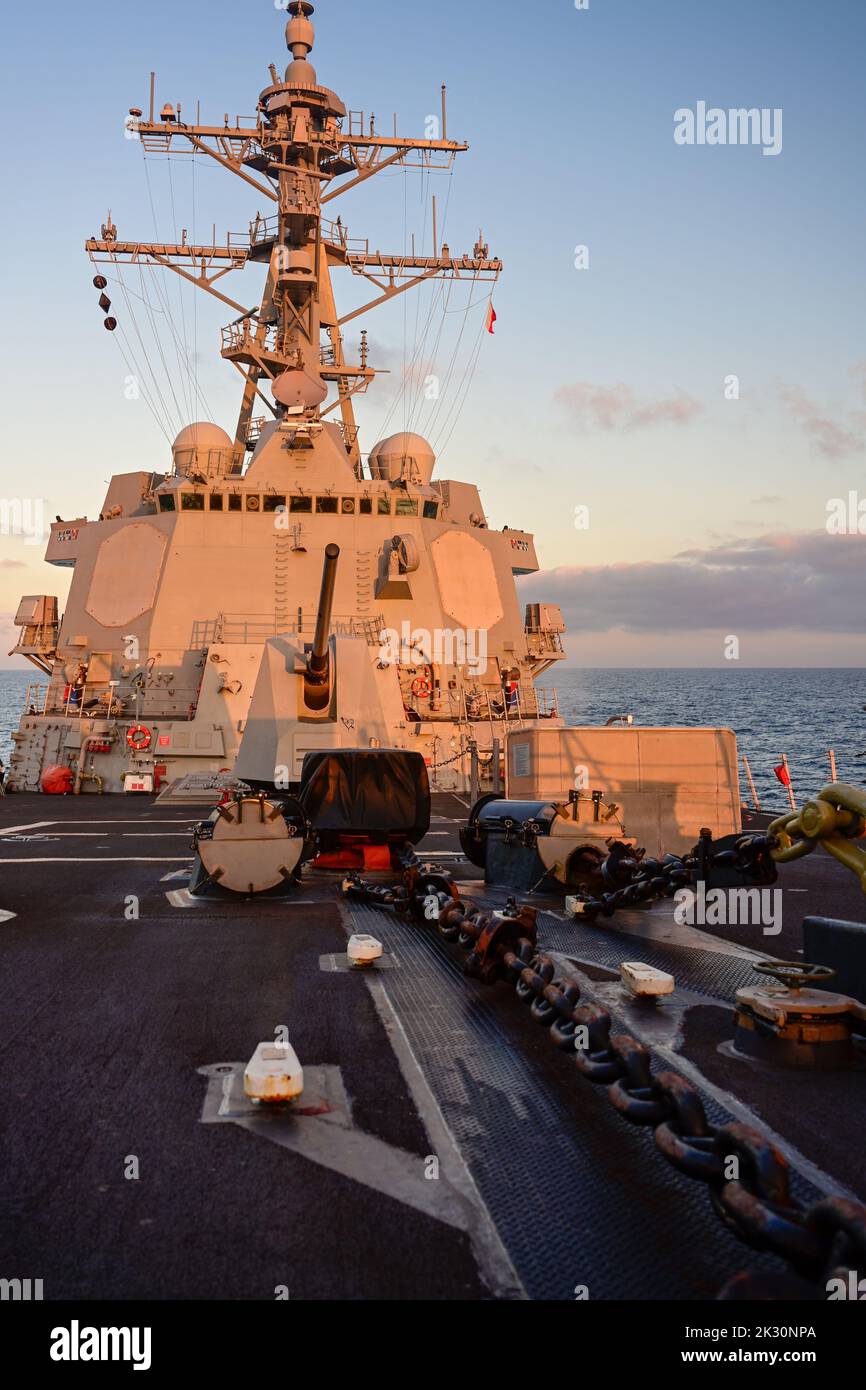 The Arleigh Burke-class guided-missile destroyer USS Shoup (DDG 86 ...