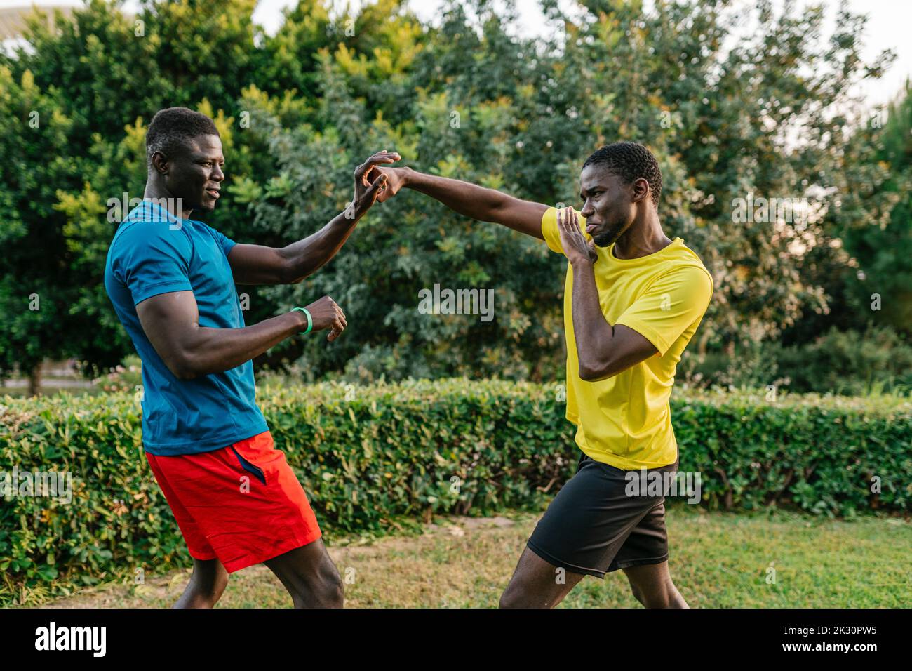 Young men practicing martial arts at park Stock Photo - Alamy