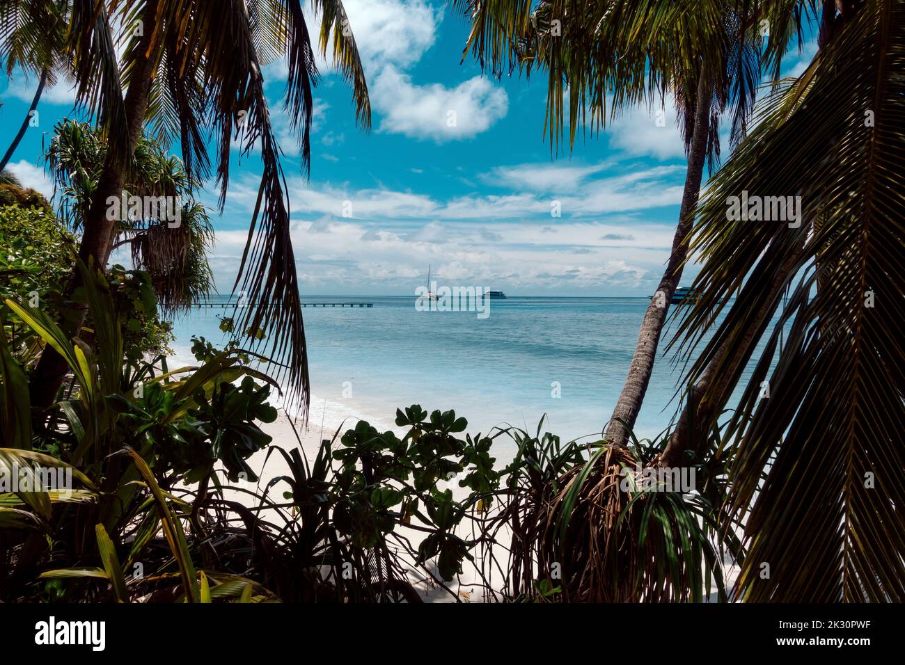 Maldives, Kolhumadulu Atoll, Tropical beach of Kanimeedhoo island with ...