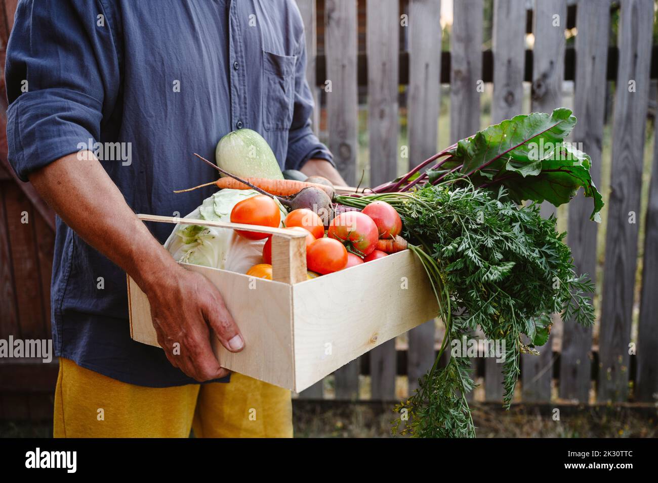 Midsection man holding box hi-res stock photography and images - Alamy