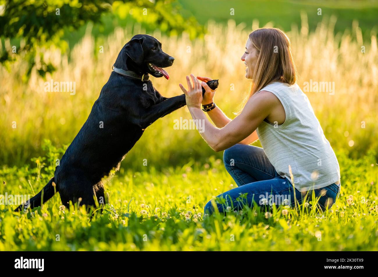 Woman black labrador retriever dog hi-res stock photography and images ...